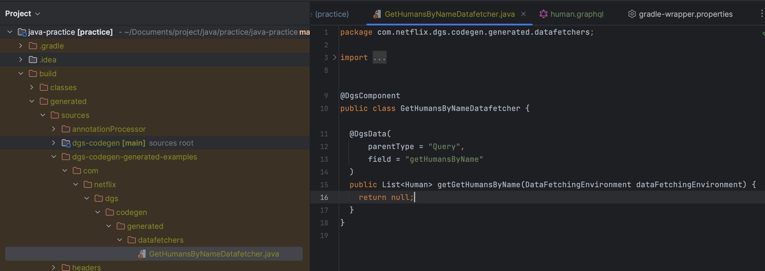 Netflix DGS로 GraphQL 해보기 - 해보고나면 별거아니다